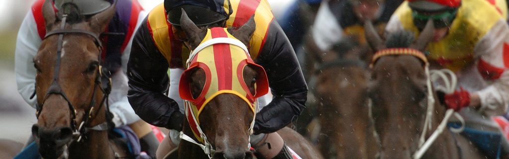 Newton Abbot Driving Lessons – 1st Gear Driving School